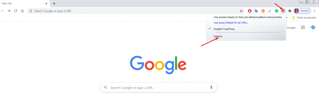 How to use FoxyProxy - HydraProxy