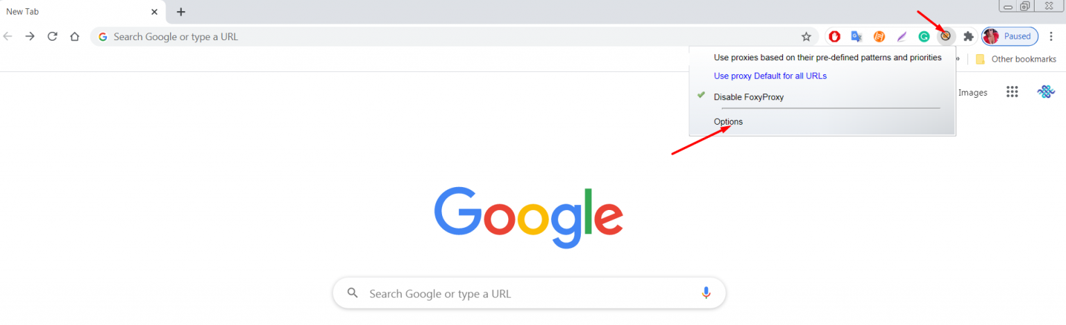How to use FoxyProxy - HydraProxy