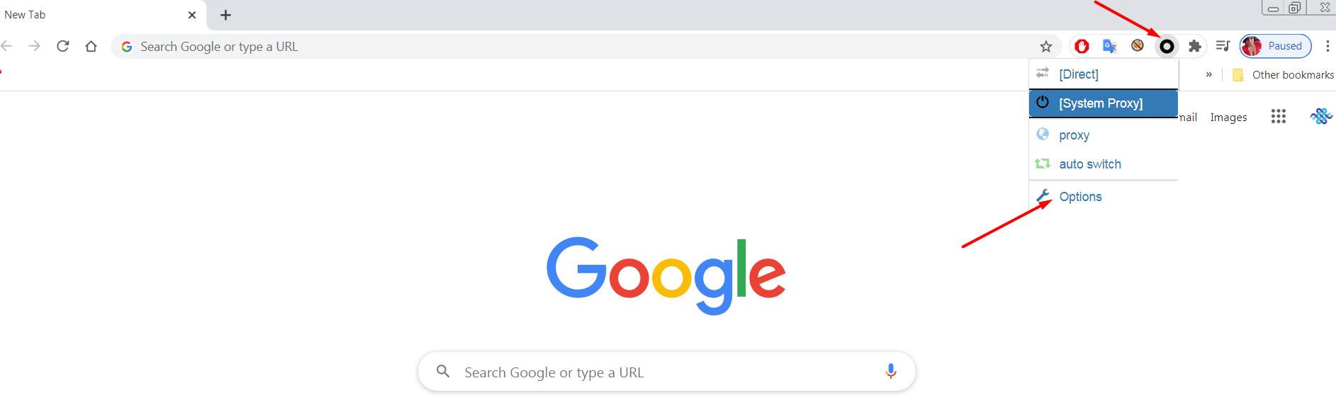 How to use SwitchyOmega - HydraProxy