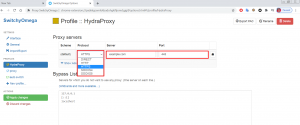 How to use SwitchyOmega - HydraProxy