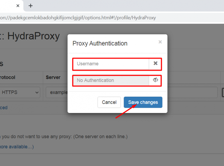 How to use SwitchyOmega - HydraProxy