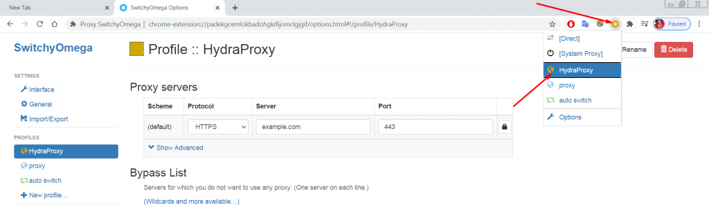How to use SwitchyOmega - HydraProxy