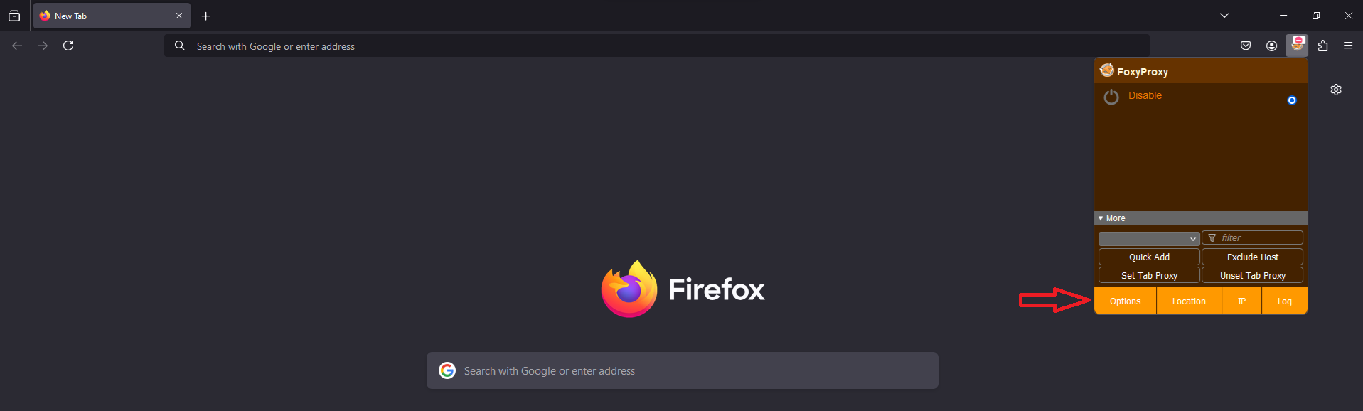 How to use FoxyProxy - HydraProxy