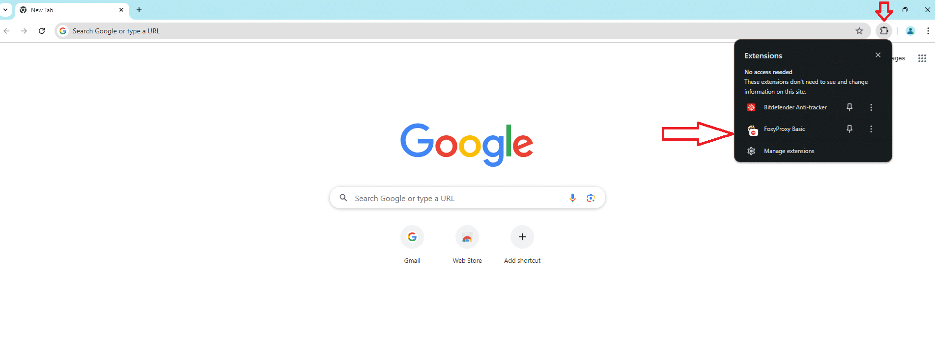 How to use FoxyProxy - HydraProxy