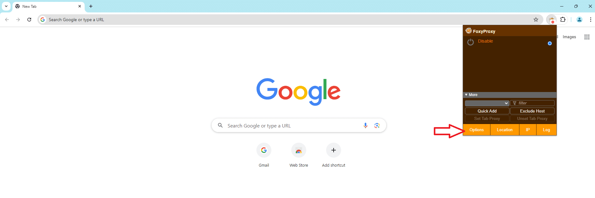 How to use FoxyProxy - HydraProxy