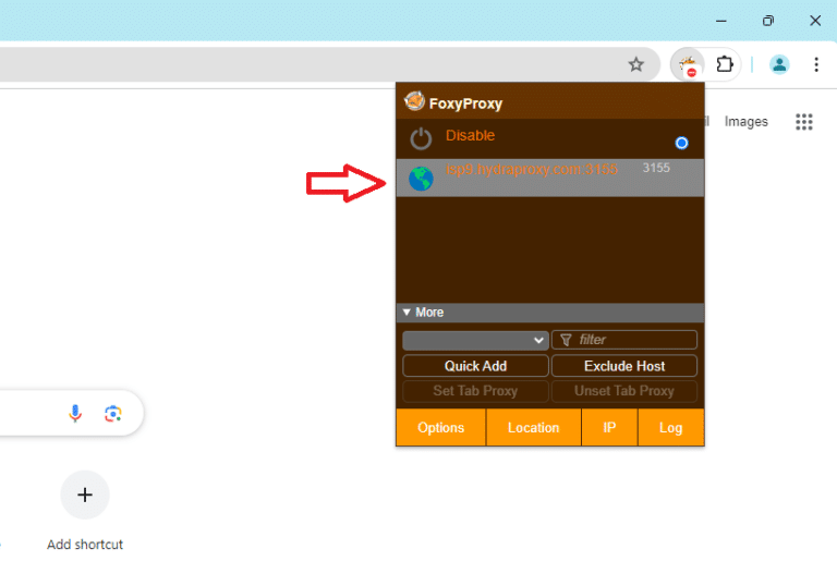 How to use FoxyProxy - HydraProxy